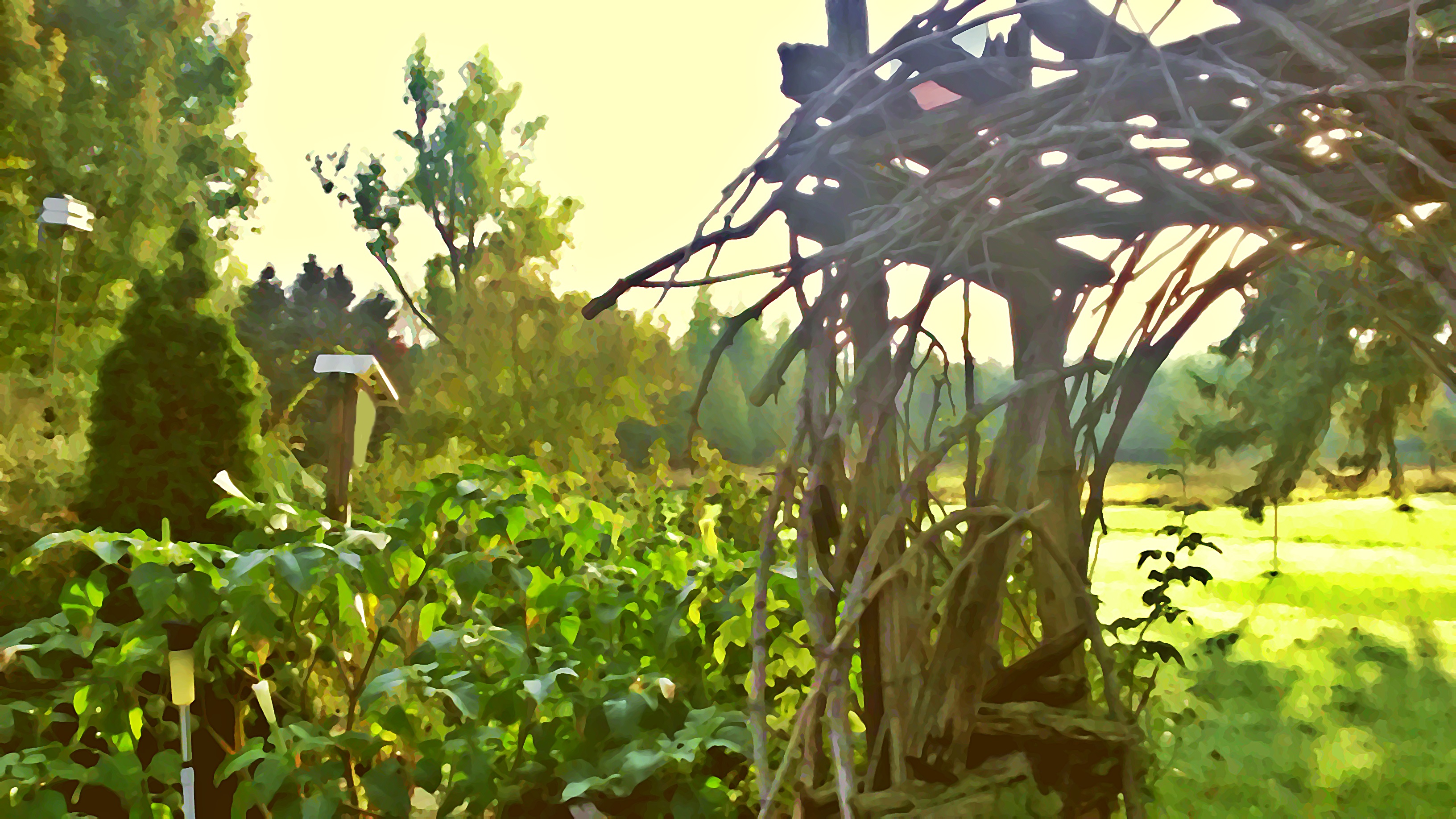 Ingrid Cryns | Wild Earth Wisdom + Sacred Ecology Living