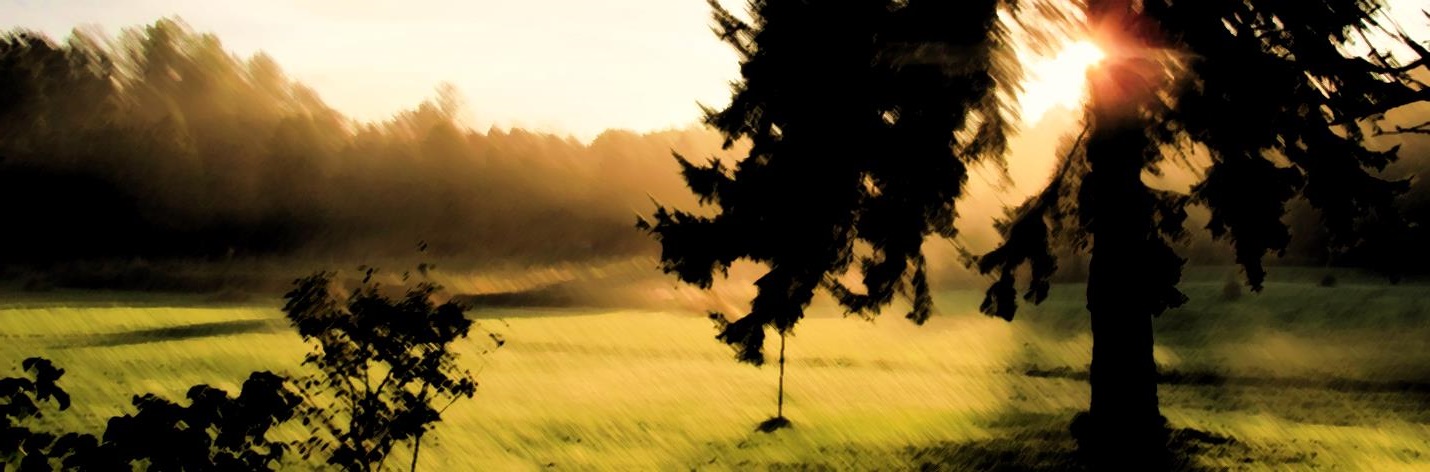 Ingrid Cryns | Wild Earth Wisdom + Sacred Ecology Living